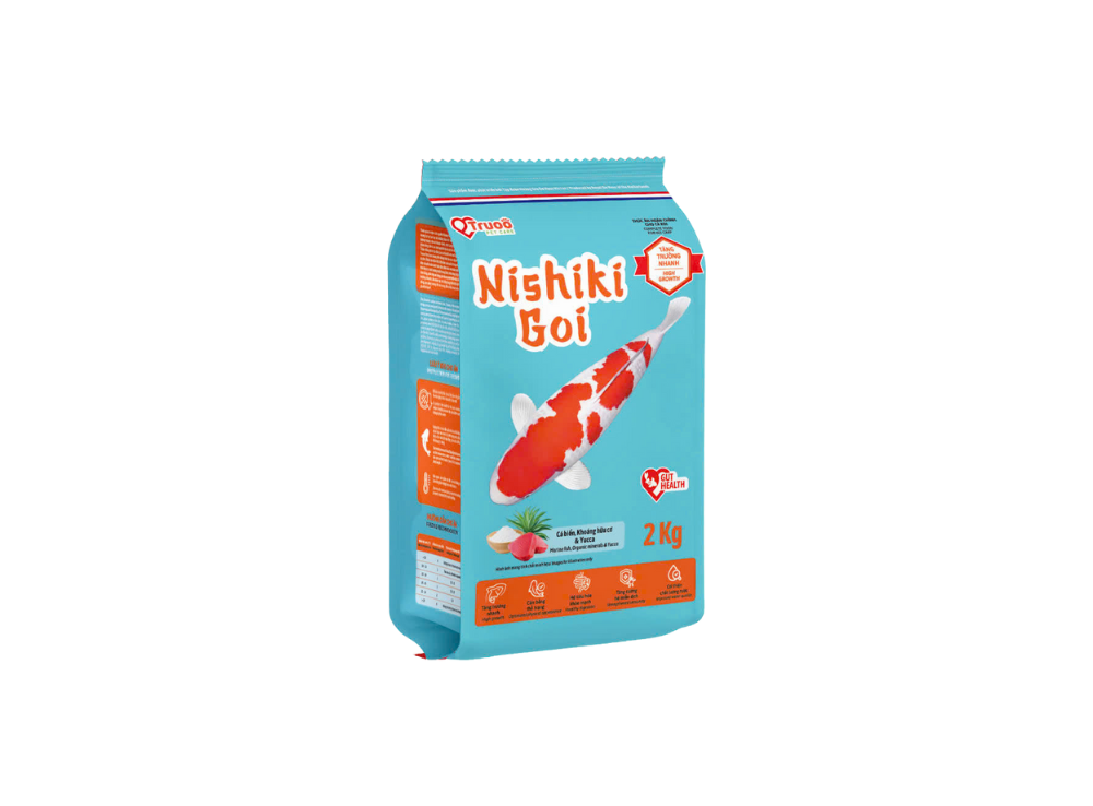 Nishiki Goi - High growth